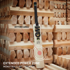 GM - Gunn and Moore Cricket Bats in English Willow