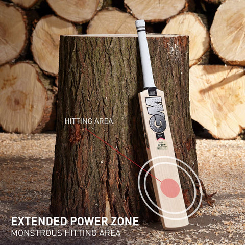 GM - Gunn and Moore Cricket Bats in English Willow