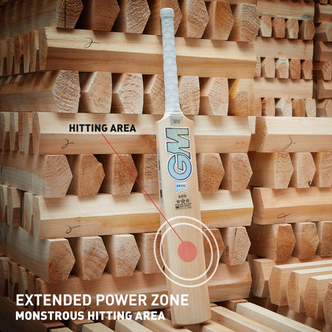 GM - Gunn and Moore Cricket Bats in English Willow